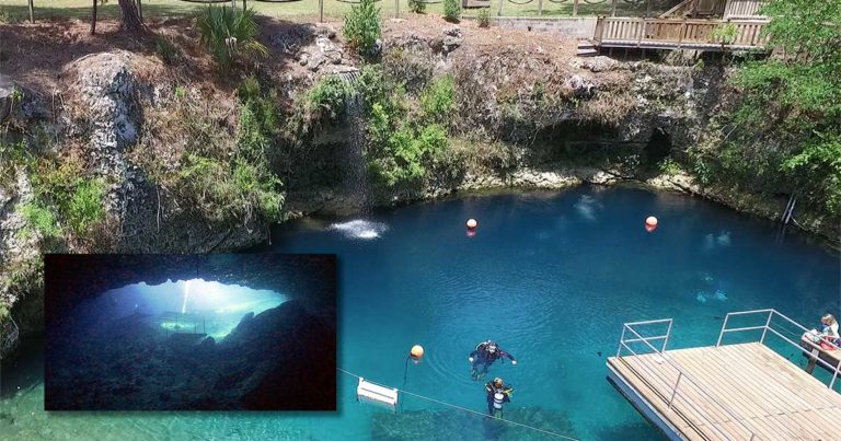 Blue Grotto - Dive the Springs